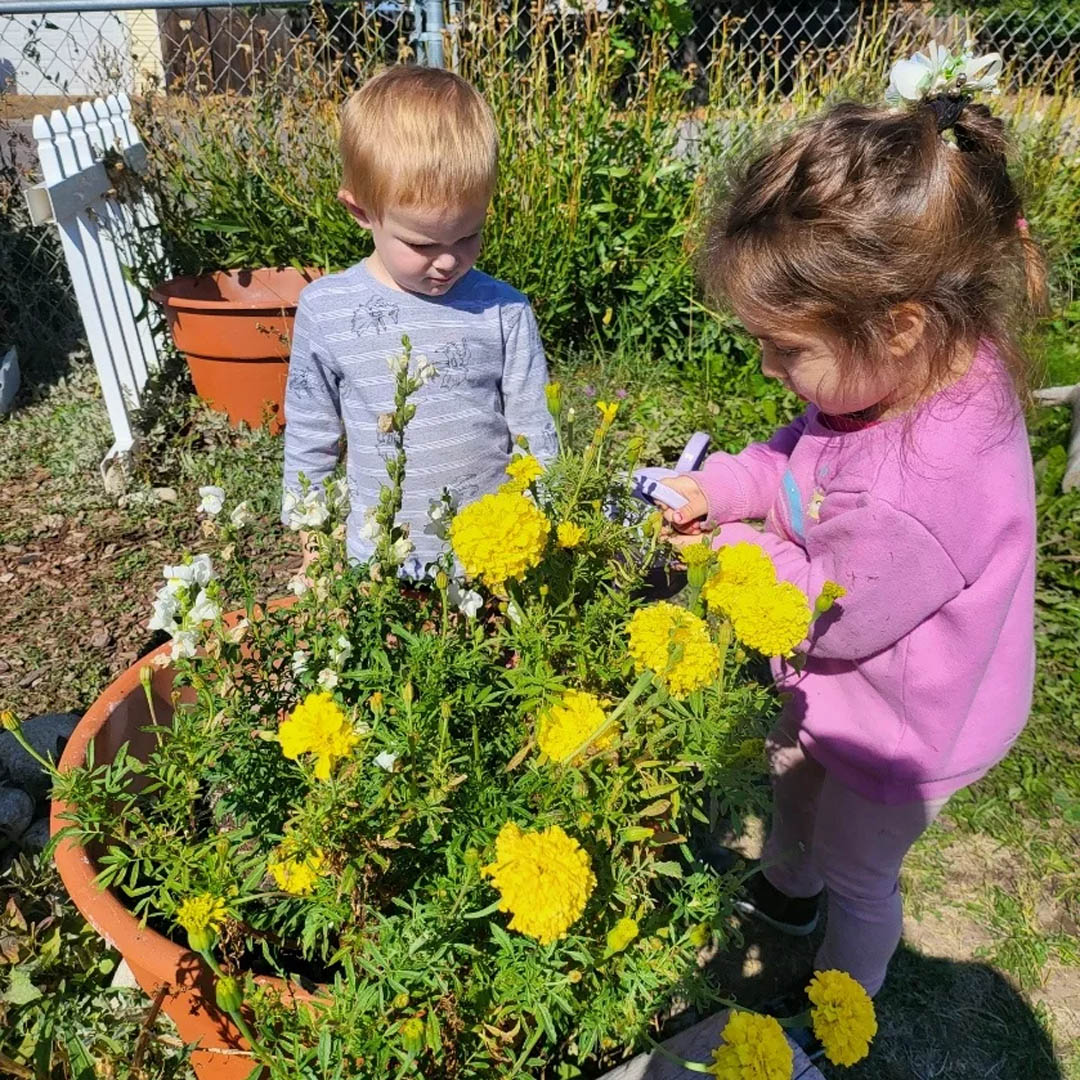 Evergreen Kids Corner Preschool – BELN